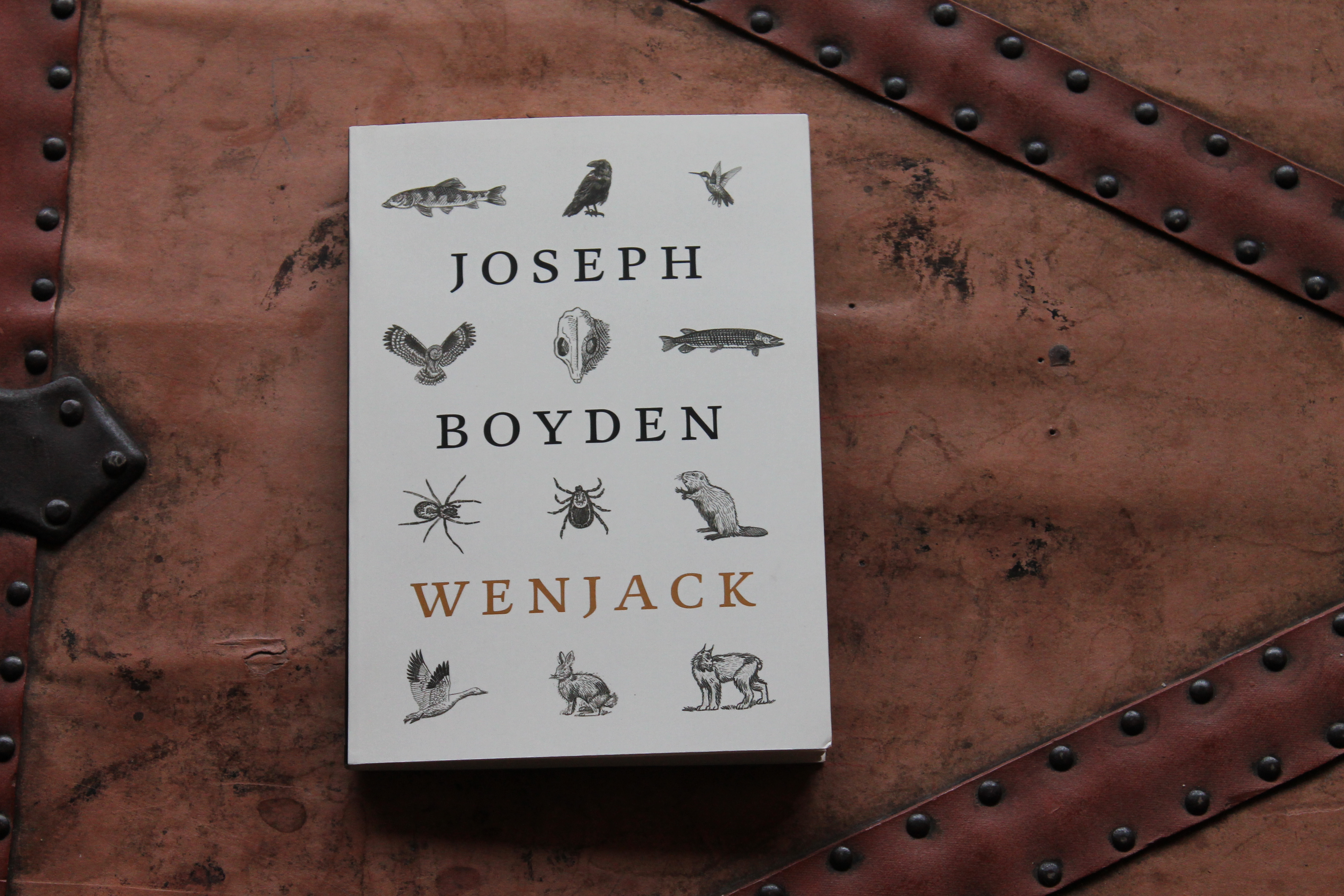 Book Review: Wenjack by Joseph Boyden – Karissa Reads Books