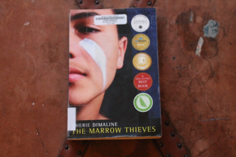 Book Review: The Marrow Thieves by Cherie Dimaline – Karissa Reads Books