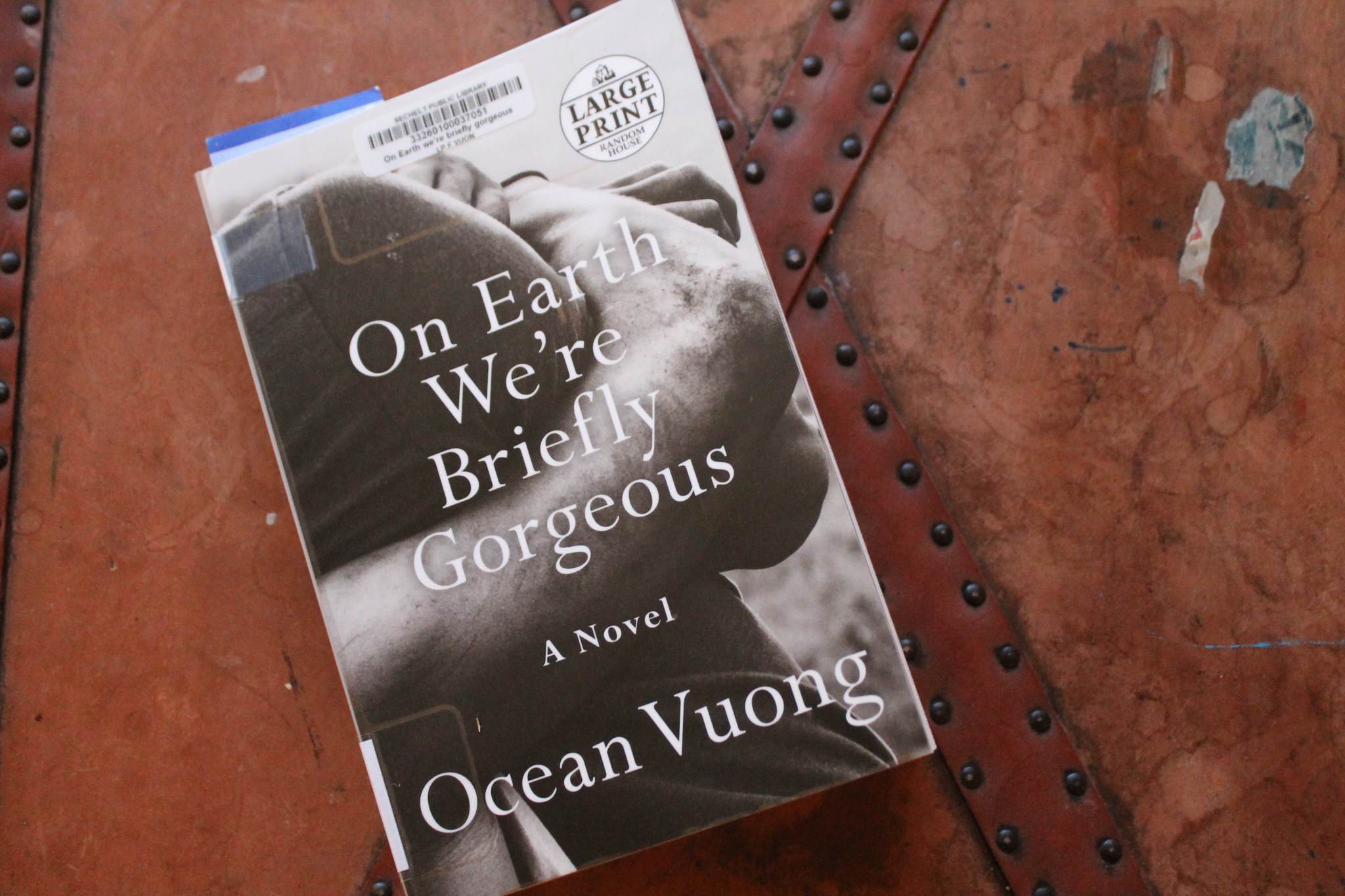 Book Review: On Earth We’re Briefly Gorgeous by Ocean Vuong – Karissa ...