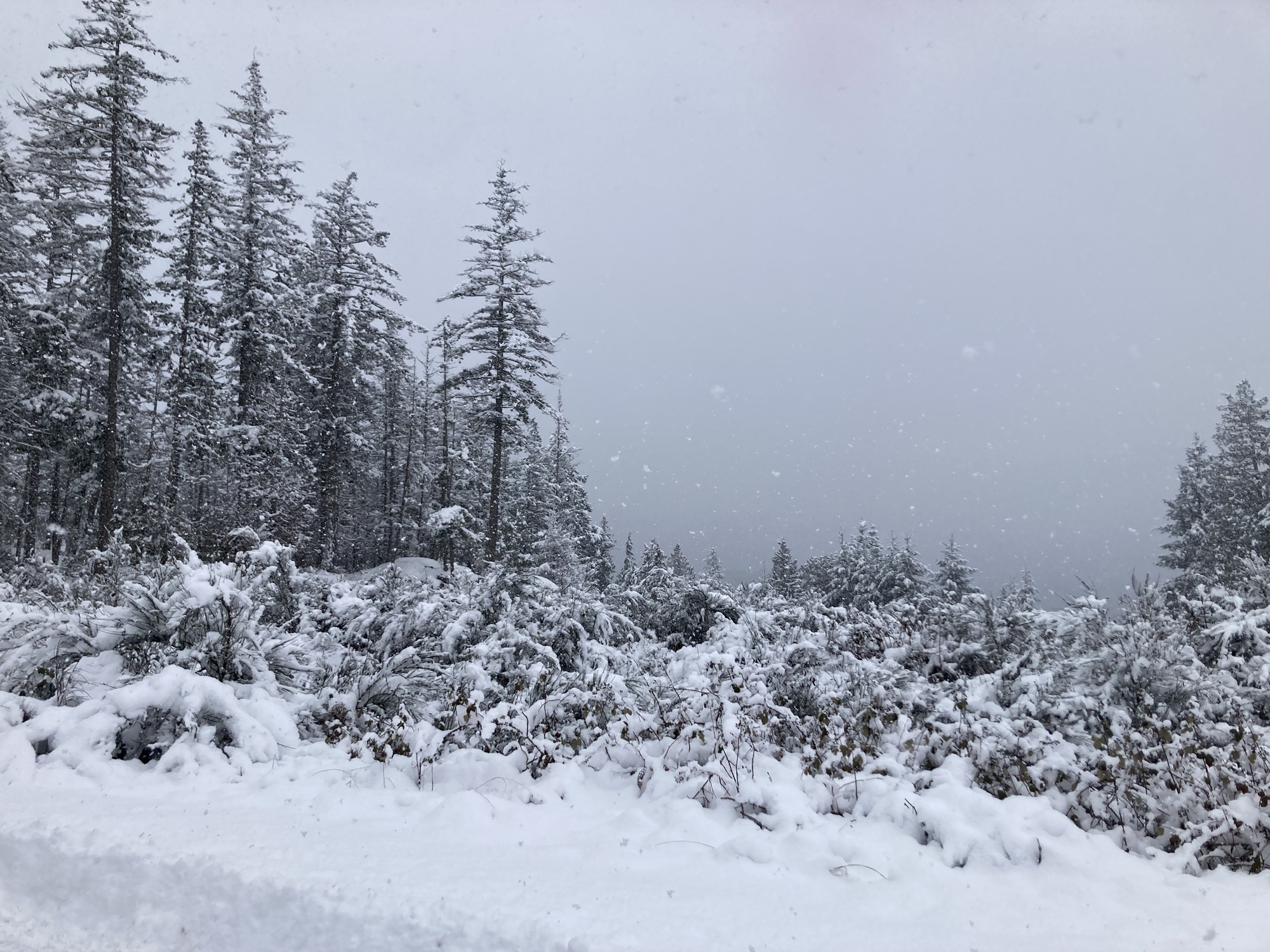 Quotes of the Week (vol. 3) and Some Snow Day Pictures – Karissa Reads ...