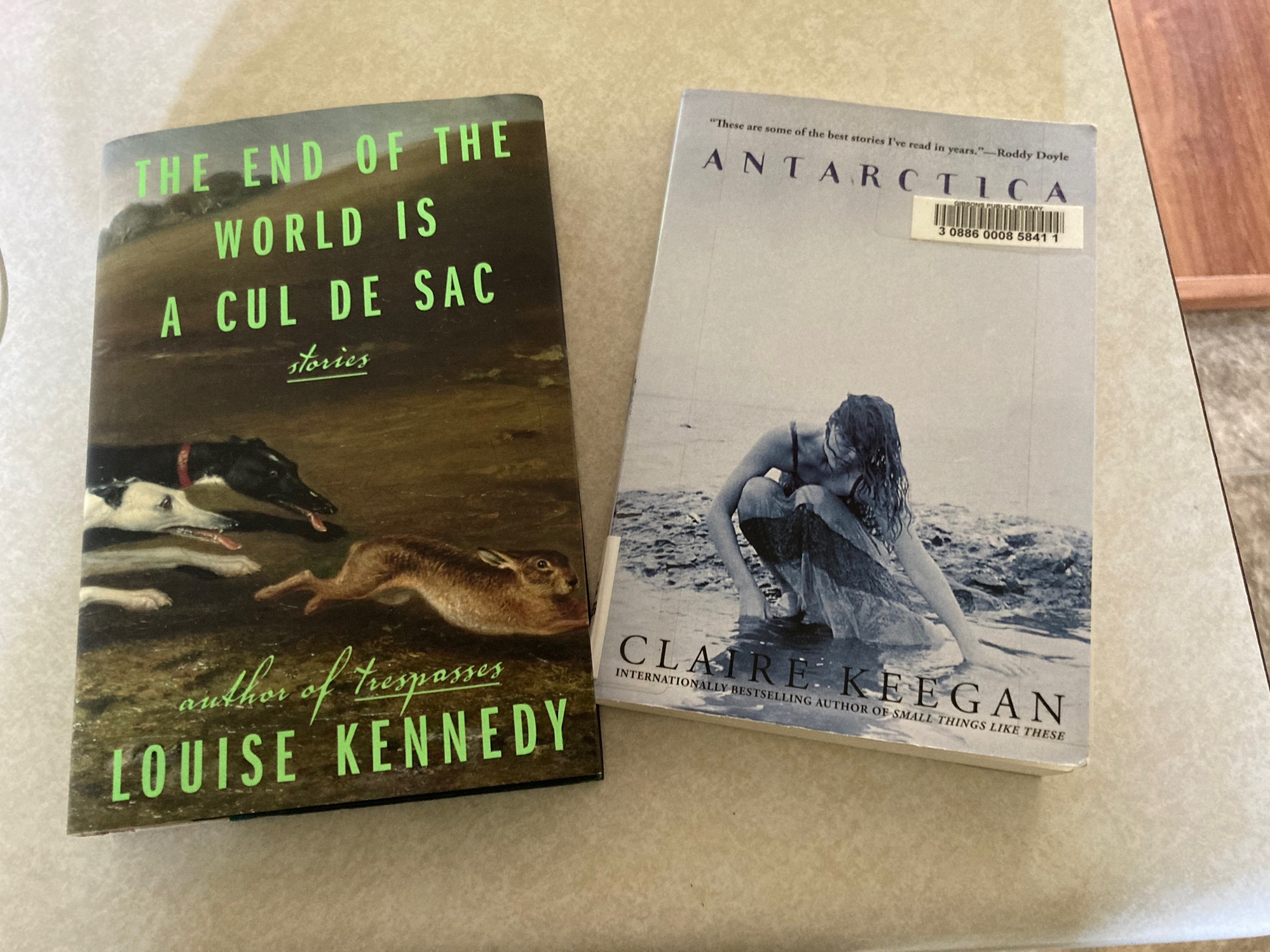 Book Review: 2 Irish Short Story Collections – Karissa Reads Books