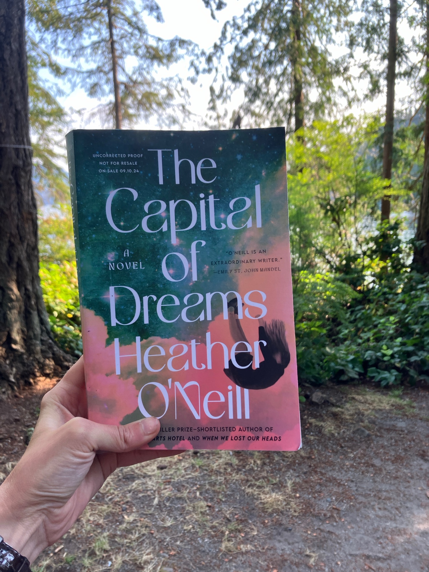 Book Review: The Capital of Dreams by Heather O’Neill (20 Books of ...