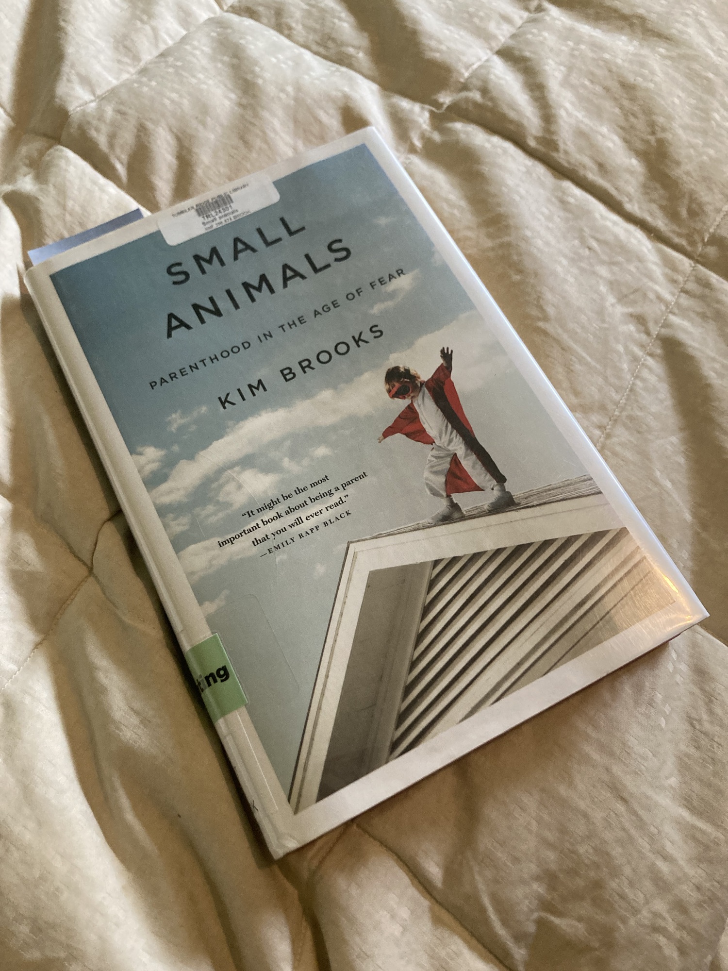 Book Review: Small Animals by Kim Brooks – Karissa Reads Books