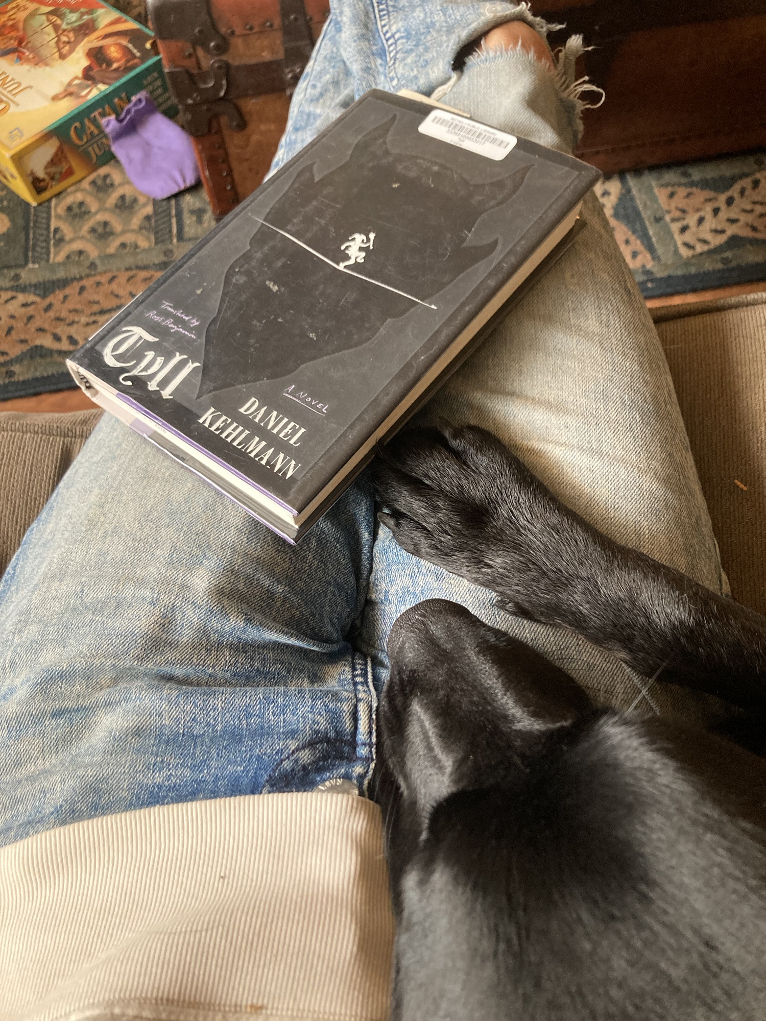 Book Review: Tyll by Daniel Kehlmann – Karissa Reads Books