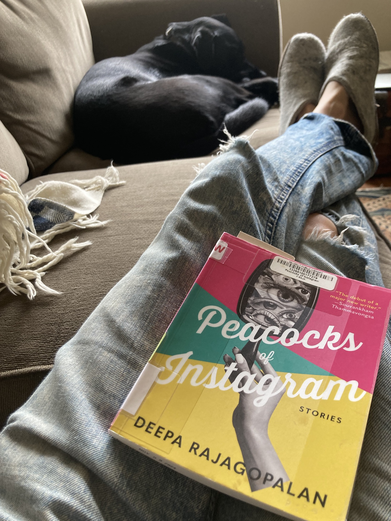 Book Review: Peacocks of Instagram by Deep Rajagopalan – Karissa Reads ...