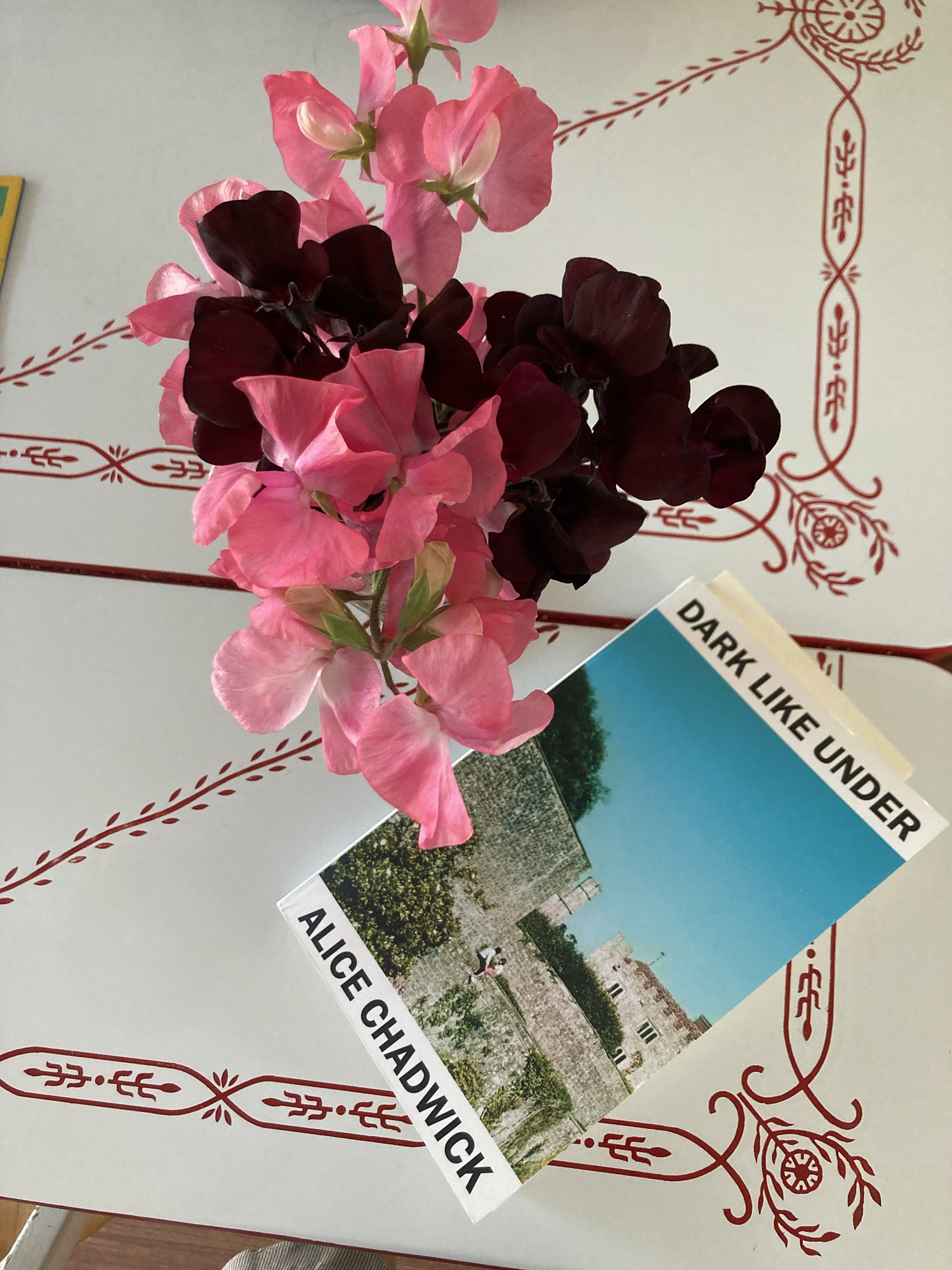 Book Review: Dark Like Under by Alice Chadwick – Karissa Reads Books