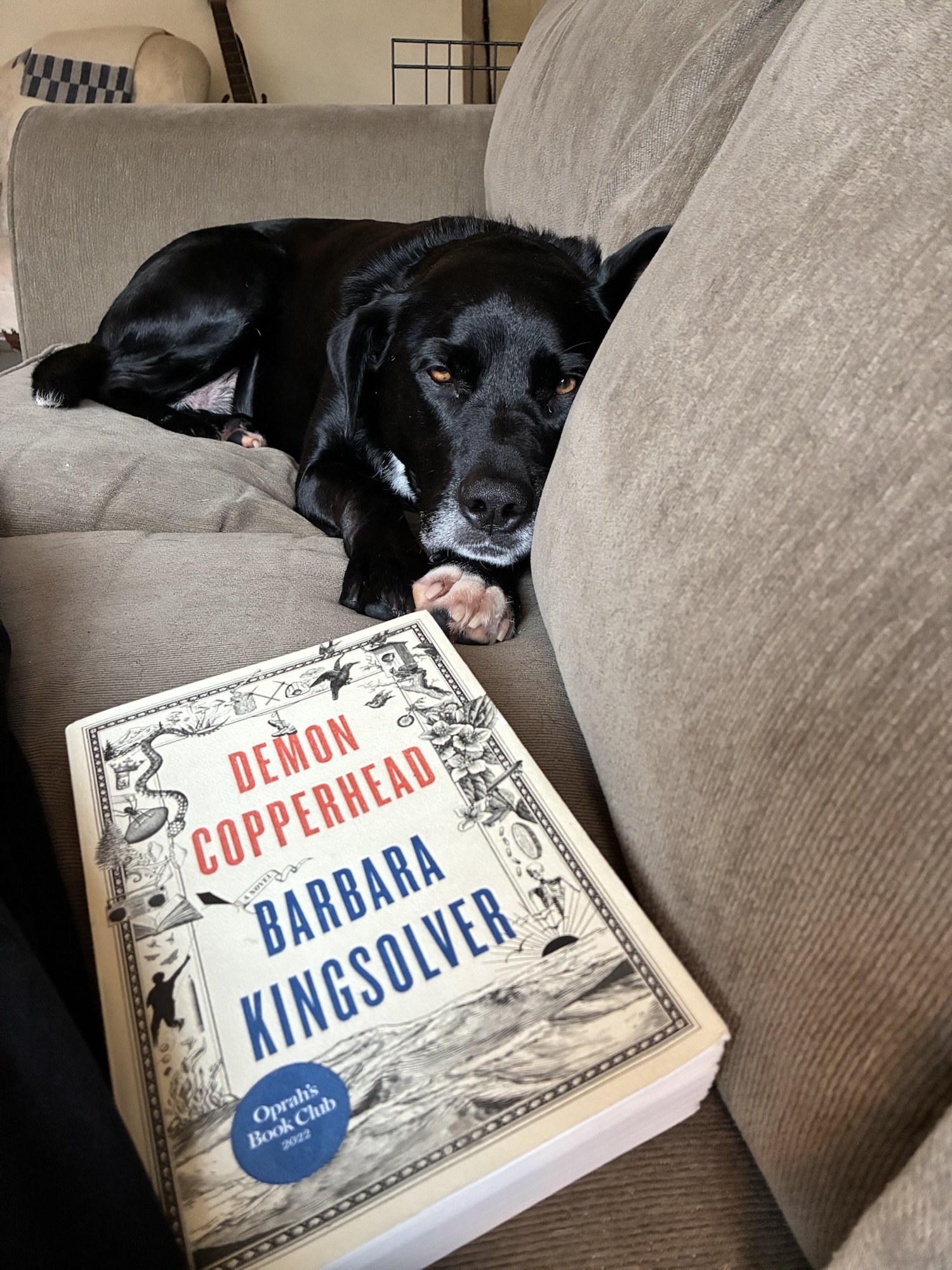 Book Review: Demon Copperhead by Barbara Kingsolver – Karissa Reads Books