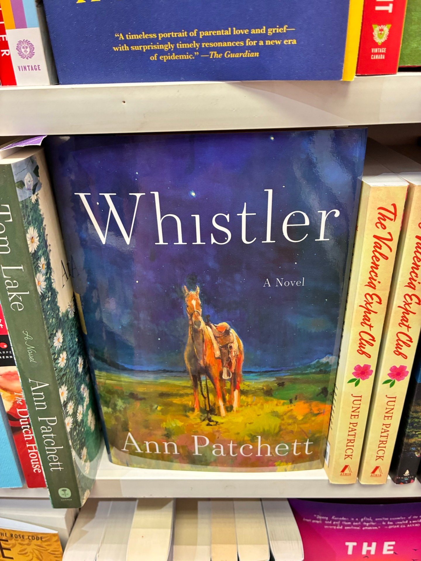 Book Review: Whistler by Ann Patchett – Karissa Reads Books