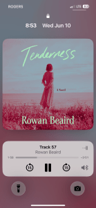 (Audio) Book Review: Tenderness by Rowan Beaird – Karissa Reads Books